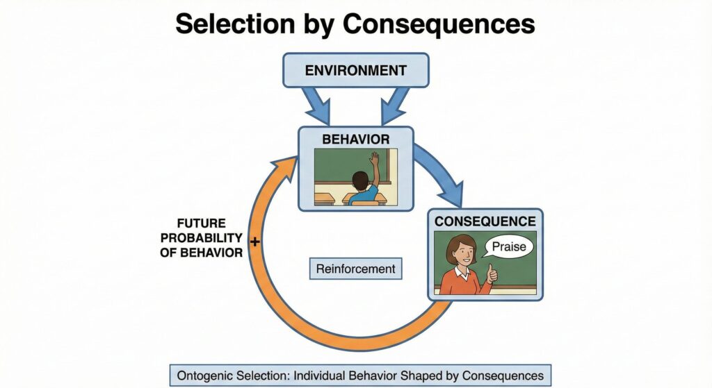 BCBA Mock Exam | Radical Behaviorism: Core Ideas and BCBA® Exam Questions
